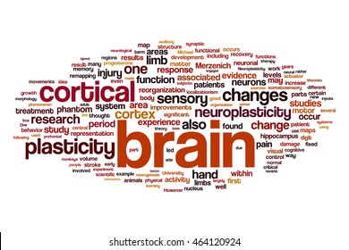 Brain Word Cloud Stock Illustration 464120924 | Shutterstock