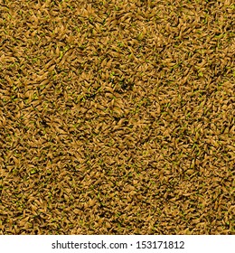 Brown Grass Texture High Angle View Stock Illustration 153171812 ...