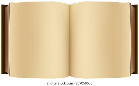 Brown Open Book Stock Illustration 239058685