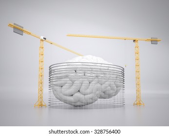 14,452 Brain Building Images, Stock Photos & Vectors | Shutterstock