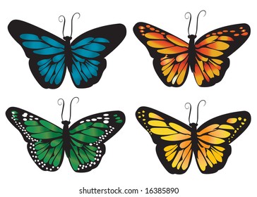 Butterfly Stock Illustration 16385890 | Shutterstock