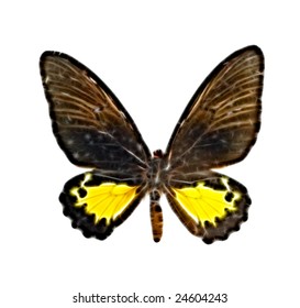 Butterfly Stock Illustration 24604243 | Shutterstock