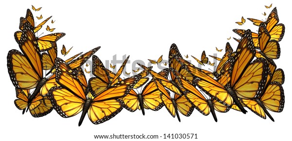 Elemento de diseño de borde mariposa aislado en un fondo blanco como ...