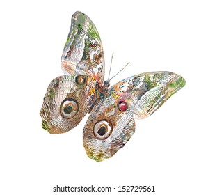 Butterfly Designcomputer Technique Stock Illustration 152729561 ...