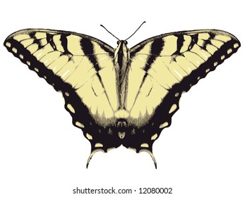Butterfly Vector Jpeg Stock Illustration 12080002 | Shutterstock