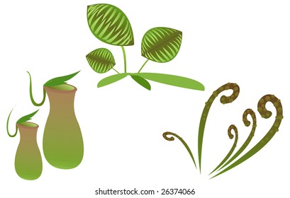 80,839 Insect eating plant Images, Stock Photos & Vectors | Shutterstock