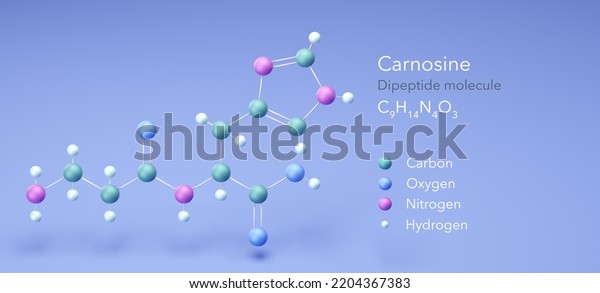 Carnosine Molecular Structures Dipeptide Molecule 3d Stock Illustration ...