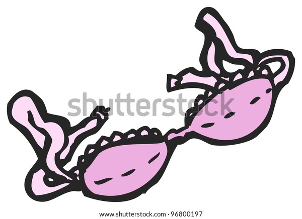 Cartoon Bra Stock Illustration 96800197 | Shutterstock