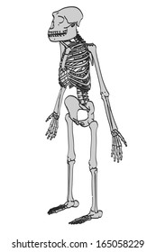 Cartoon Image Australopithecus Afarensis Stock Illustration 165058229 ...