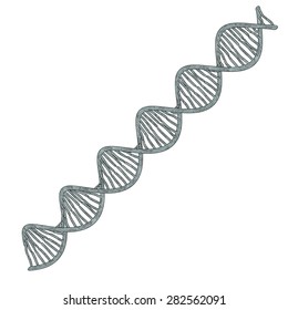 Cartoon Image Dna Model Stock Illustration 282562091 | Shutterstock