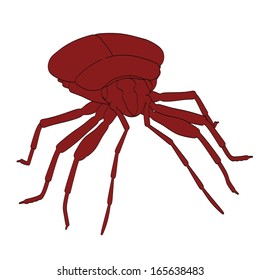 Cartoon Image Firebug Stock Illustration 165638483 | Shutterstock