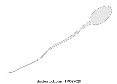 Sperm Structure Male Cells Sperm Cross: เวกเตอร์สต็อก (ปลอดค่าลิขสิทธิ์ ...