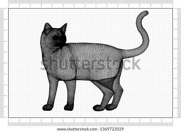 Cat Architect Blueprint 3d Renderings Stock Illustration 1369722029 ...