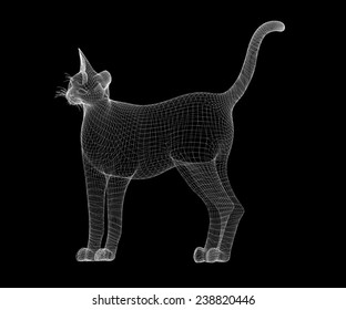 Cat Body Structure Wire Model On Stock Illustration 238820446 ...