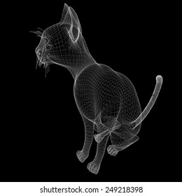 Cat Body Structure Wire Model On Stock Illustration 249218398 ...