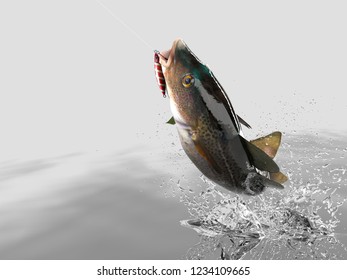Cathing Cod Fish White Background Splashes Stock Illustration ...