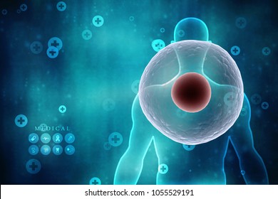 Cell 3d Rendering Cells Under Microscope Stock Illustration 1055529191 ...