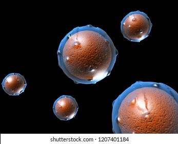 Cell 3d Rendering Cells Under Microscope 스톡 일러스트 1207401184 | Shutterstock