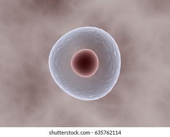 Cell 3d Rendering Cells Under Microscope 库存插图 635762114 | Shutterstock