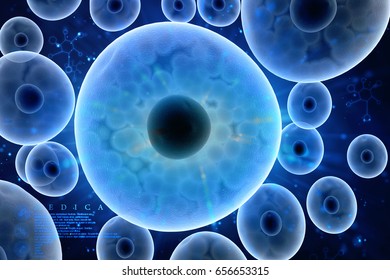 Cell 3d Rendering Cells Under Microscope Stock Illustration 656653315 ...
