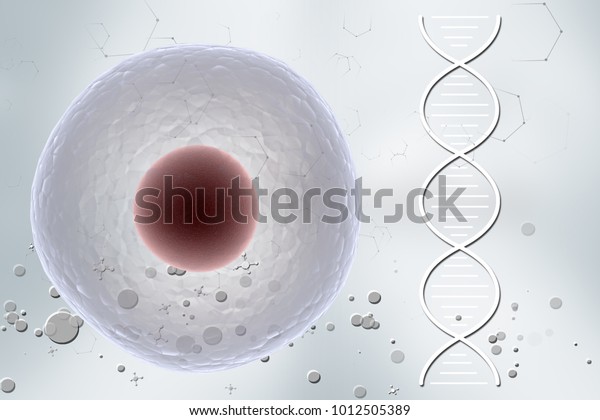 Cell 3d Rendering Cells Under Microscope Stock Illustration 1012505389 ...