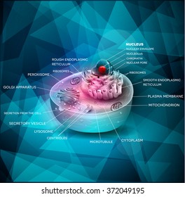 Cell Cross Section Structure Beautiful Abstract Stock Illustration ...