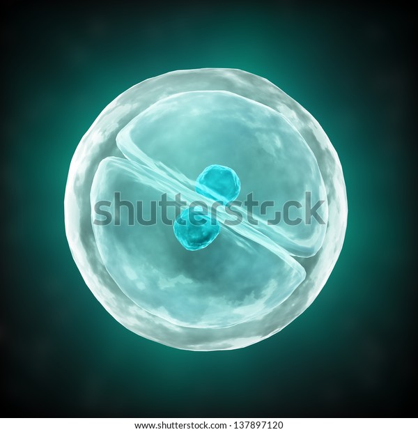 1,069件の「Multiplying cells」の画像、写真素材、ベクター画像 | Shutterstock