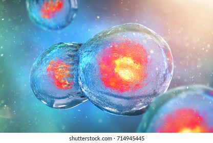 Cell Embryo Mitosis Under Microscope 3d Stock Illustration 714945445 ...
