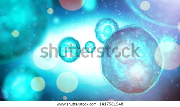Cell Embryo Mitosis Under Microscope 3d Stock Illustration 1417581548 ...