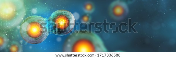 Cell Embryo Mitosis Under Microscope Cells Stock Illustration ...