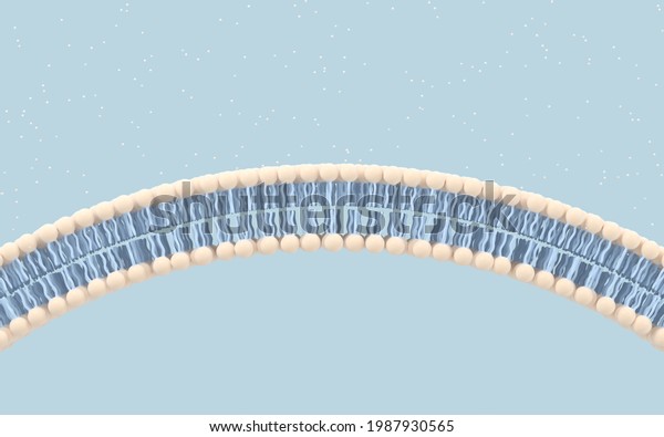 Cell Membrane Blue Background 3d Rendering Stock Illustration 1987930565