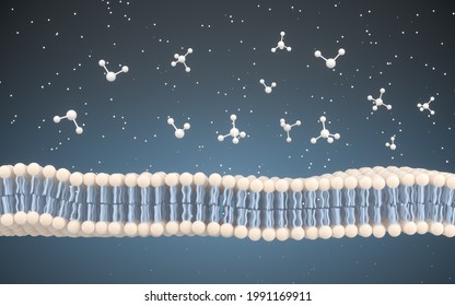 Cell Membrane Molecules 3d Rendering Computer Stock Illustration ...