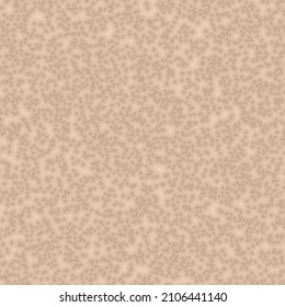 45,148 Light apricot Images, Stock Photos & Vectors | Shutterstock