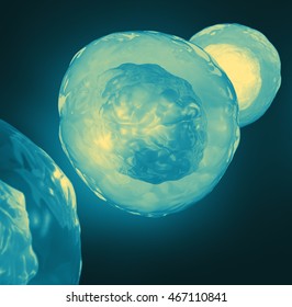 Cell Structure Closeup 3d Render Illustration Stock Illustration ...