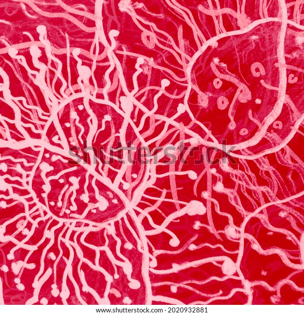 Cell Under Microscope Rose Virus Rabies Stock Illustration 2020932881 ...