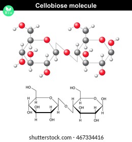Cellobiose Atomic Structure 2d 3d Illustration Stock Illustration ...