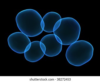 81 Amitosis Images, Stock Photos & Vectors | Shutterstock