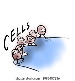 48 Intercellular Space Royalty-Free Images, Stock Photos & Pictures ...