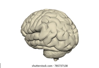 Brainwraps Images, Stock Photos & Vectors | Shutterstock