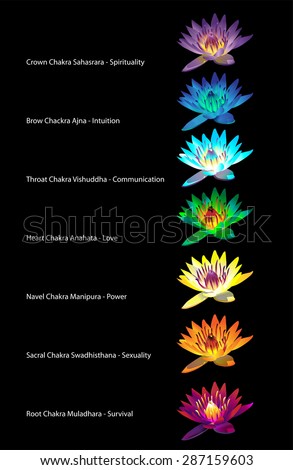 Chakra Lotus Chart Stock Illustration 287159603 - Shutterstock