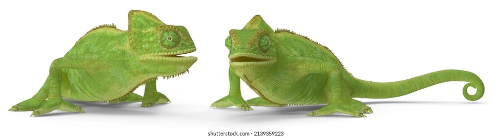 Chameleon Walking Poses Set On Isolated Stock Illustration 2139359223 ...