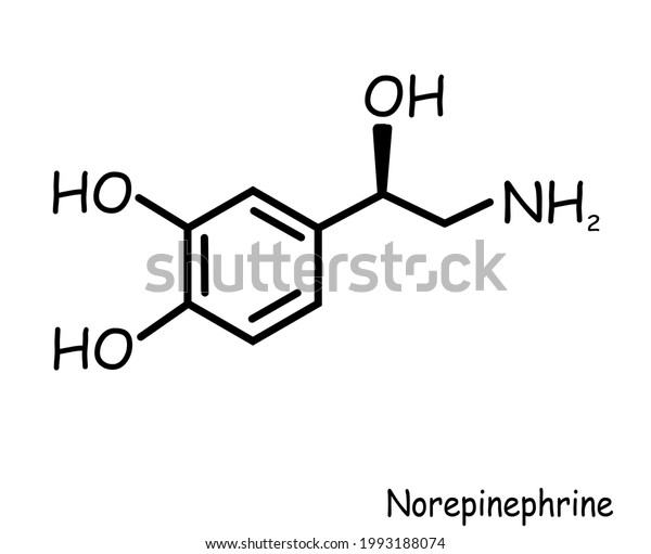 Chemical Structure Icon Template Norepinephrine Stock Illustration ...