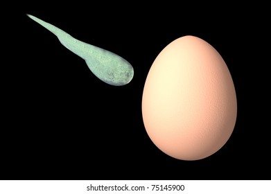 Chicken Egg Concept Render Sperm Image Stock Illustration 75145900 ...