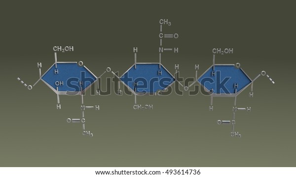 Chitin Structure 3d Illustration Stock Illustration 493614736 ...