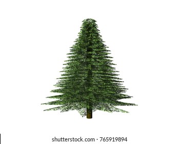 Big Single Fir Tree Isolated On Stock Photo (Edit Now) 56400790