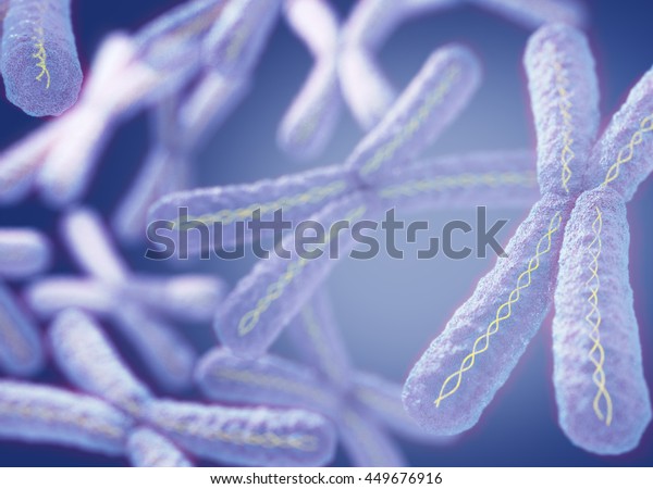Chromosome X Microscope 3d Illustration Stock Illustration 449676916 ...