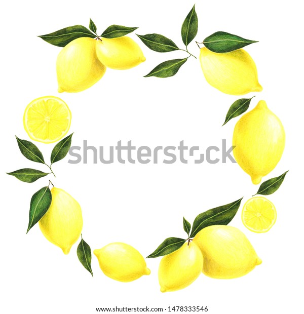 Circle Frame Lemons Lemon Slices Leaves Stock Illustration 1478333546 ...