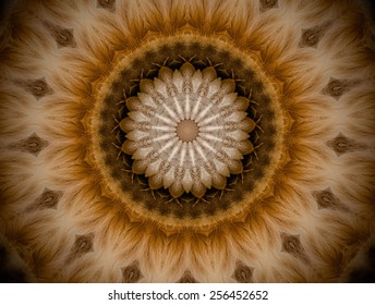 Circular Design Stock Illustration 256452652 | Shutterstock