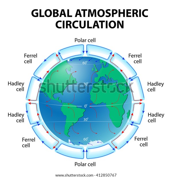 Circulation Atmosphere Global Circulation Patterns Hadleyferrel Stock ...