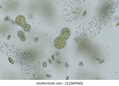 1,354 Water drop under the microscope Images, Stock Photos & Vectors ...